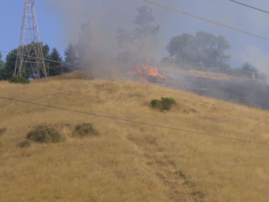 MOFD Acts Quickly to Fight Orinda Wildfire