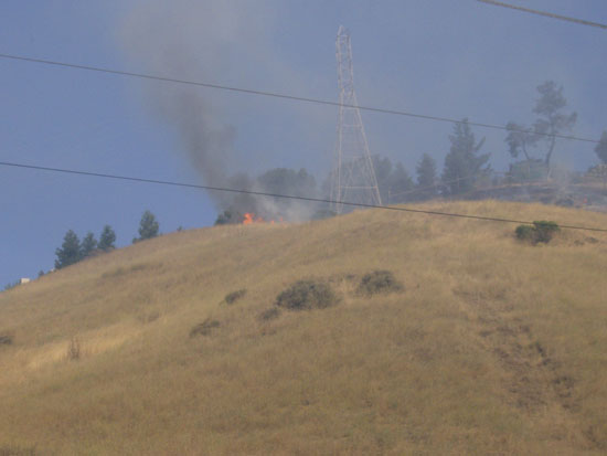 MOFD Acts Quickly to Fight Orinda Wildfire