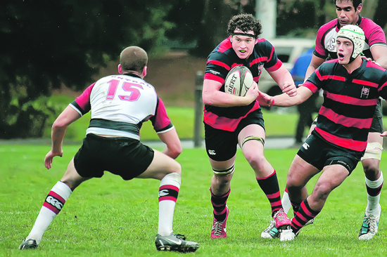 Saint Mary's Rugby Beats Cal | St. Mary's College | SMC Moraga | SMC Gaels