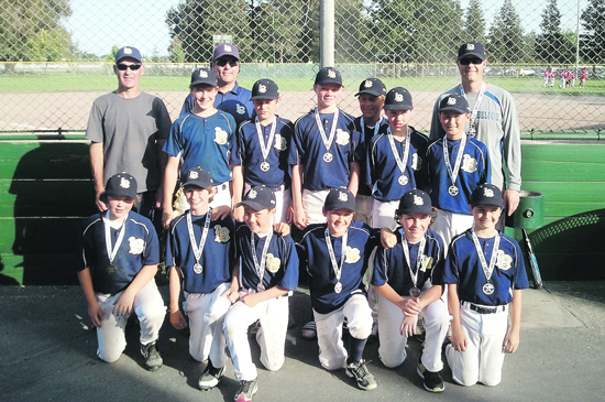 Lamorinda Baseball Academy Teams Record Strong Performances