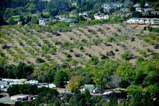 LAMORINDA WEEKLY | More property owner input sought for zoning of the ...