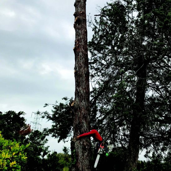 Taking care to prevent damage to (and from) trees