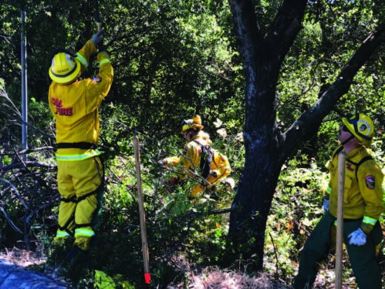 Lafayette portion of North Orinda Shaded Fuel Break completed