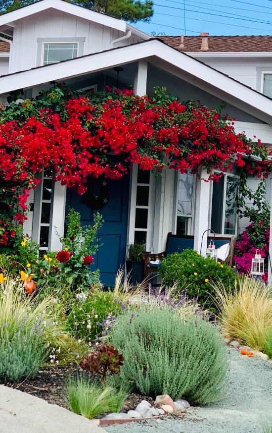 Feng Shui Front Yard Designs