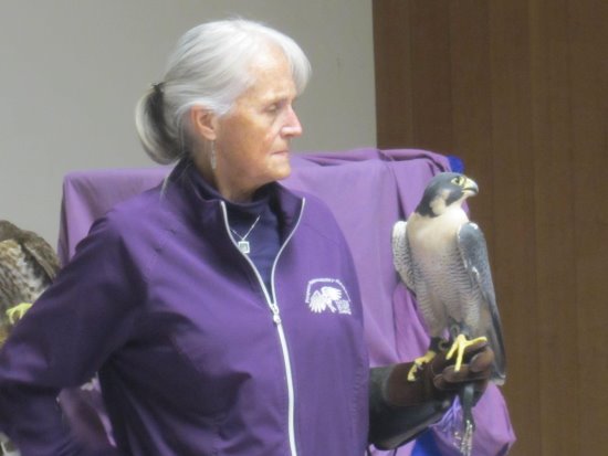 Moraga Library bird event garners "rapt" interest from attendees | Moraga